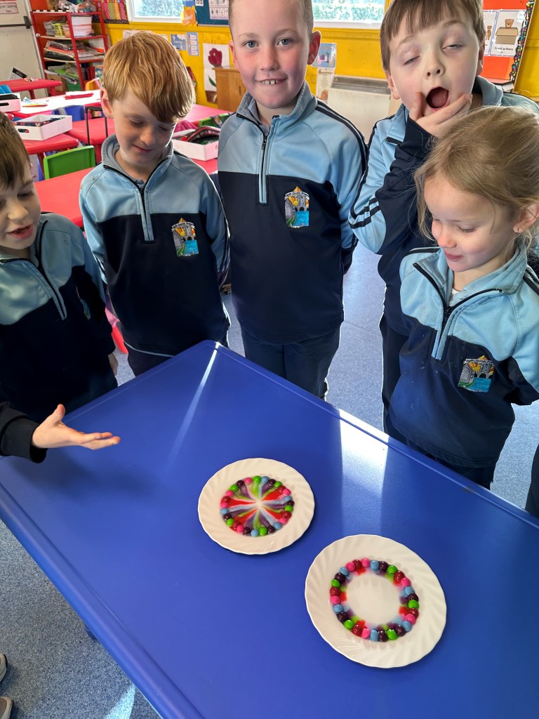 1st Class Science Week Scoil Naomh Muire Eas Géitine